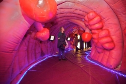Giant, inflatable colon to visit Ashland Town Center